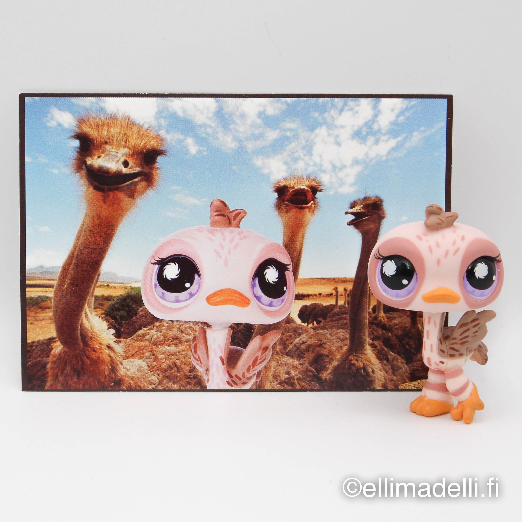 Littlest Petshop Strutsi #945— Elli Madelli