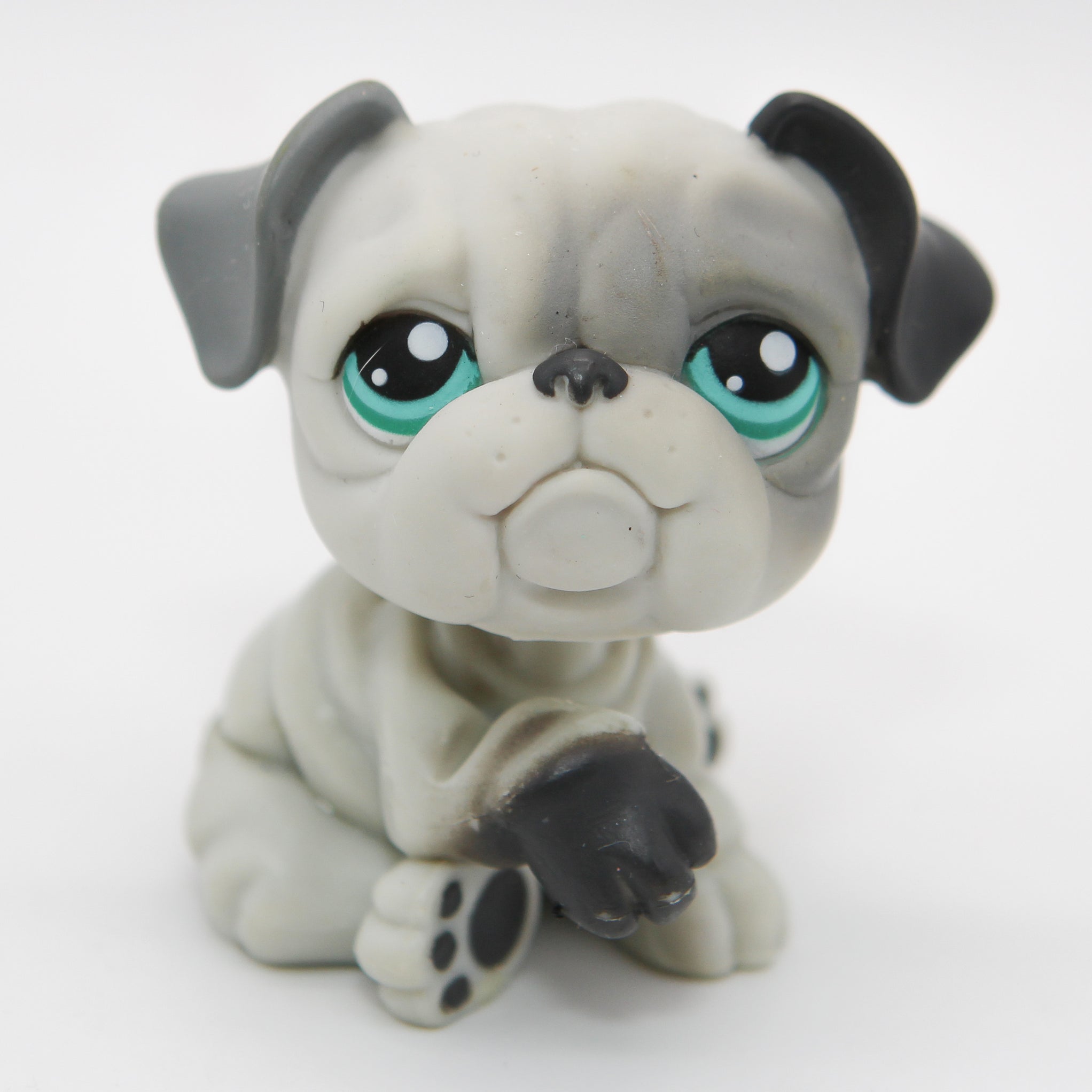 Littlest Petshop Bulldog #446— Elli Madelli