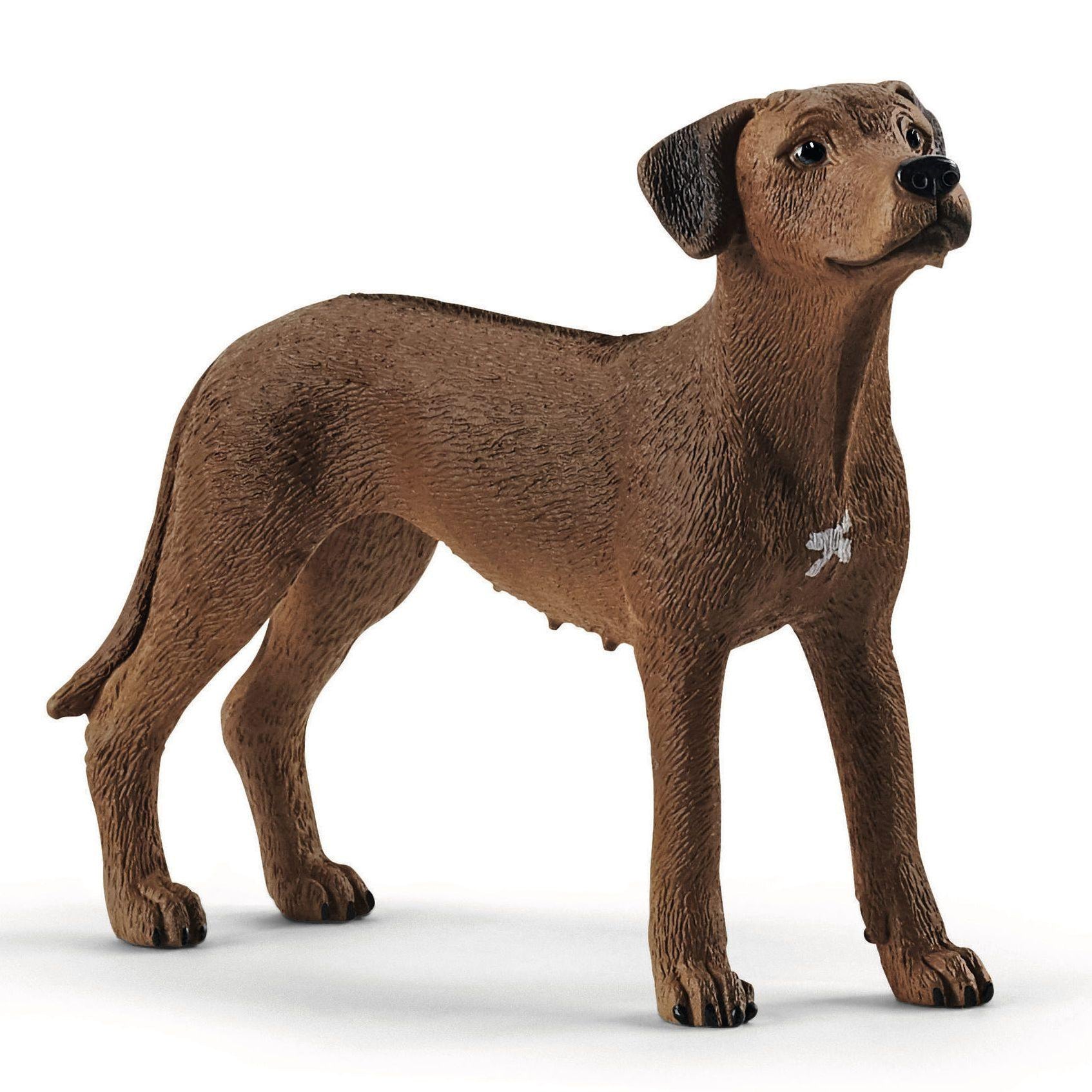 Schleich 13895 Rhodesian koira— Elli Madelli