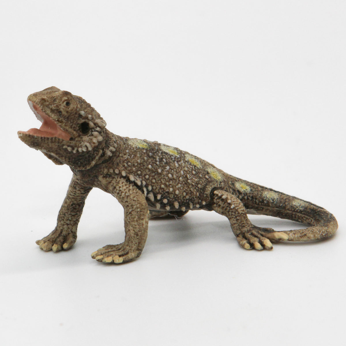 Schleich Parta Agama 14675 - Second Hand— Elli Madelli